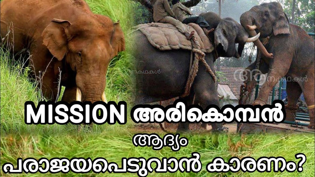 അരികൊമ്പനെ പിടികൂടുവാനുള്ള ദൗത്യം പരാജയപെട്ടത് എങ്ങനെ ? | Ari komban ...