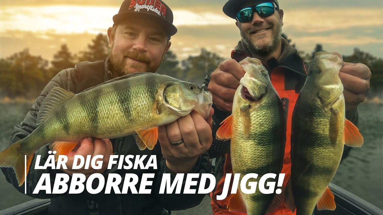 Lär dig fiska abborre med jigg! - Sportfiskeprylar.se - YouTube
