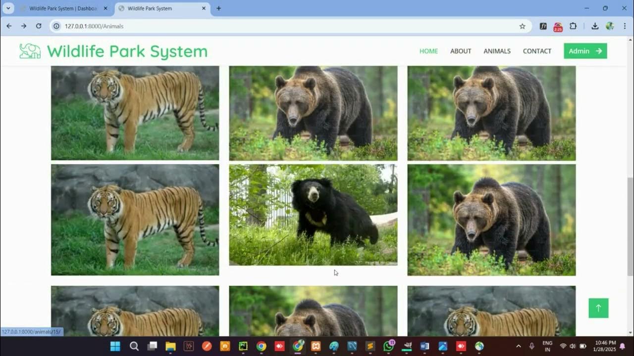 Wildlife Park System using Python Django | PythonCodeVerse - YouTube