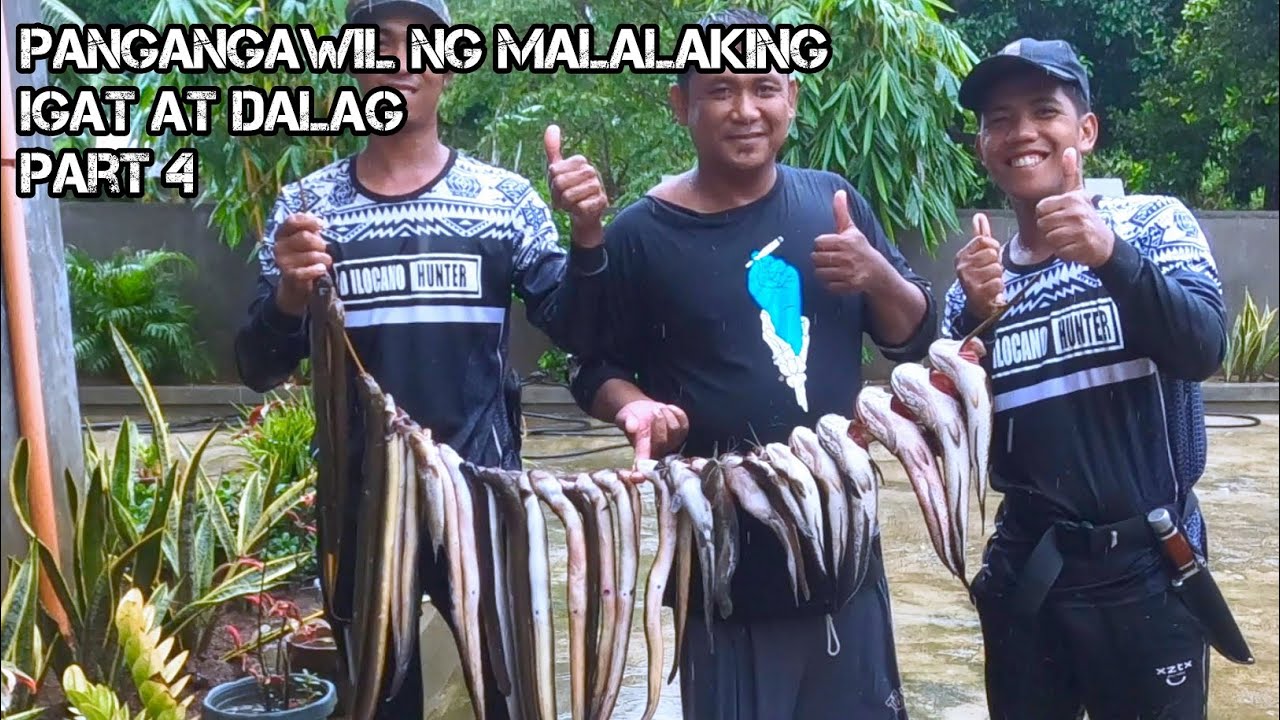 e216 Part 4 | Pangangawil Malalaking Dalag & Igat | Inspired by ...