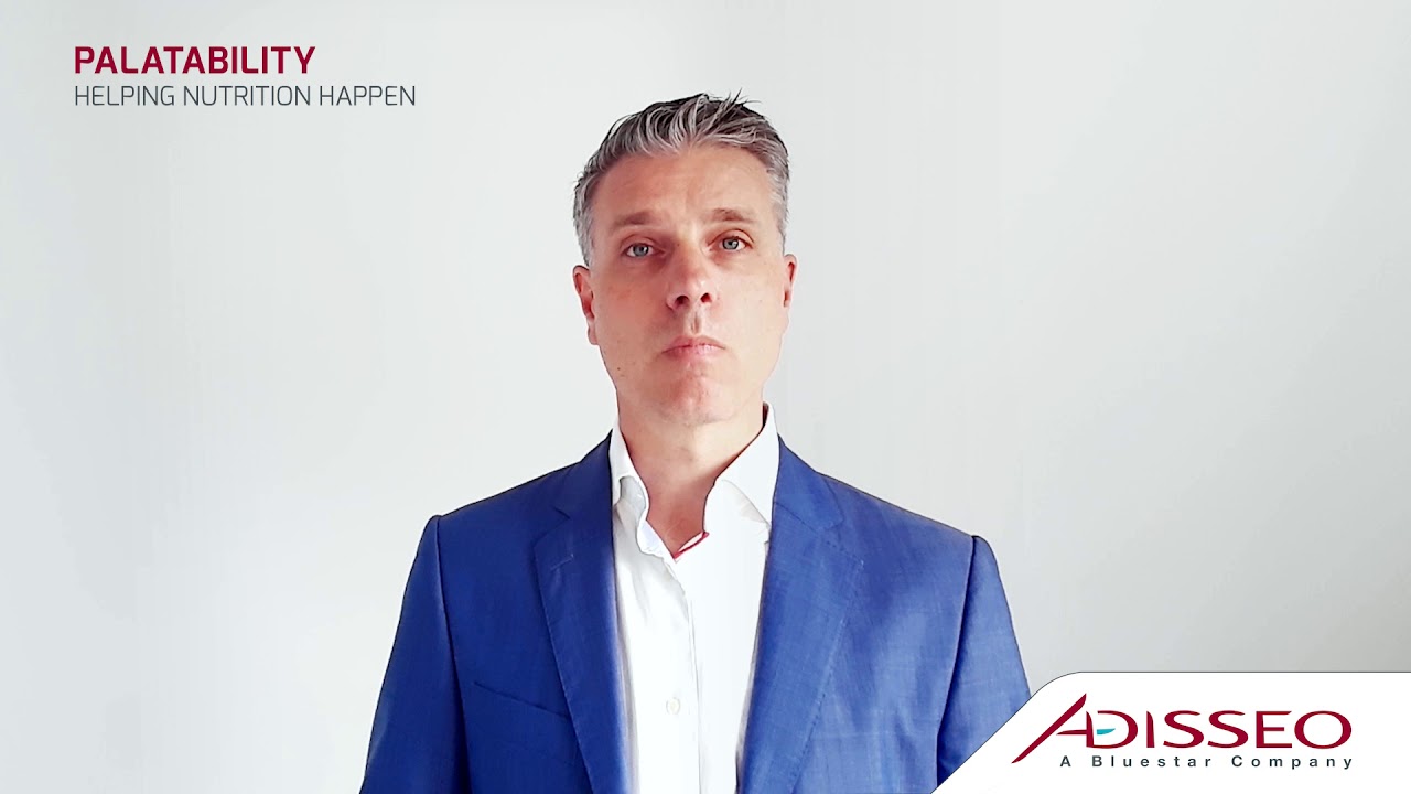 Una introducción a la palatabilidad, Ab Greven (SP) - YouTube