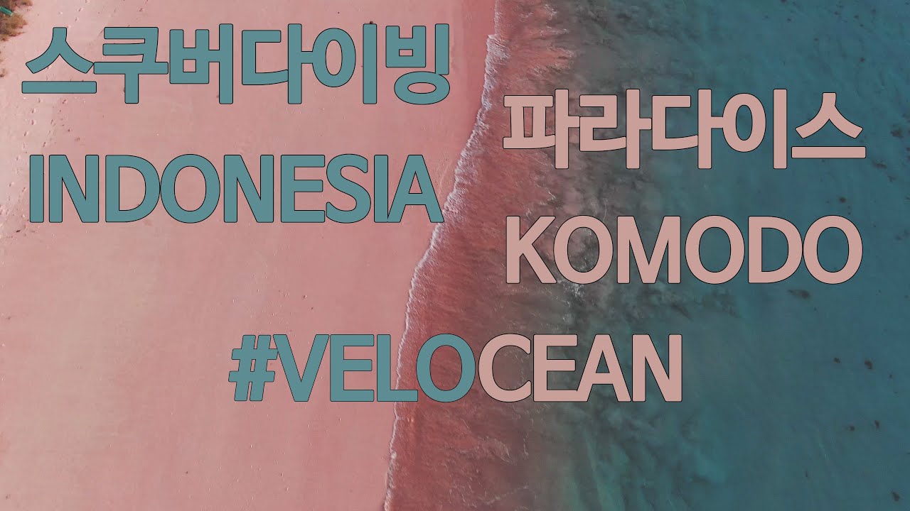 인도네시아 코모도다이빙 1편! 한국인 최초 벨로션리브어보드 탑승!#scubadiving #komodo #VELOCEAN #스쿠버다이빙 #벨로션리브어보드 - YouTube