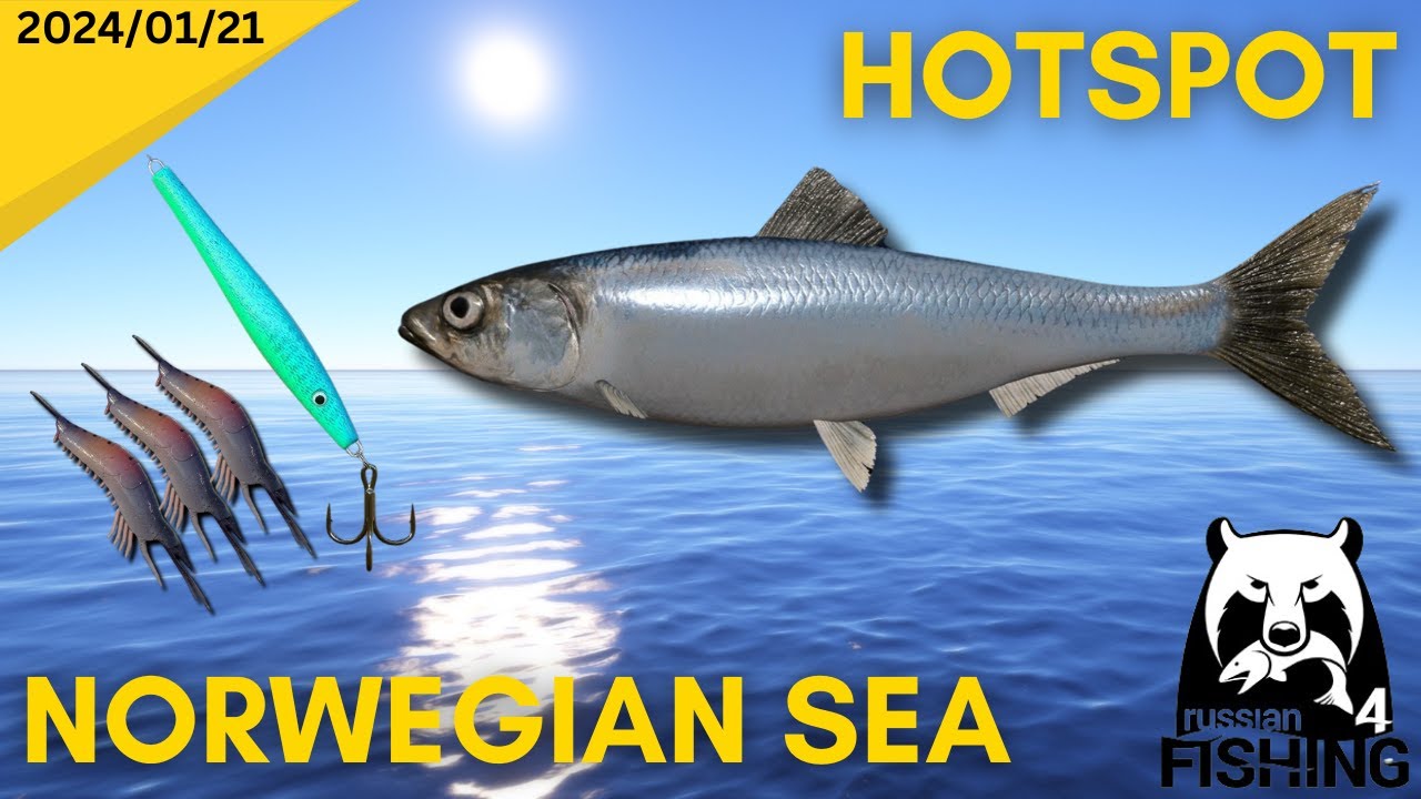 Making silver on the Norwegian Sea - Russian Fishing 4 - YouTube