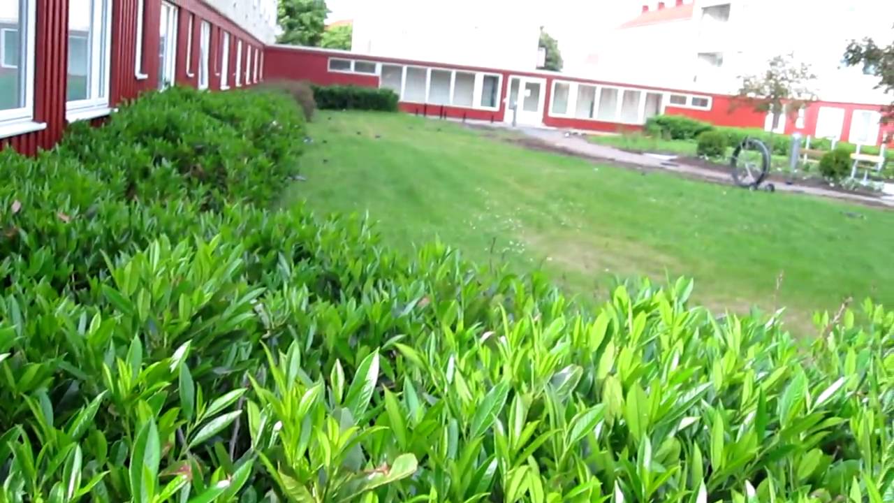Canon Ixus 100is - Test footage
