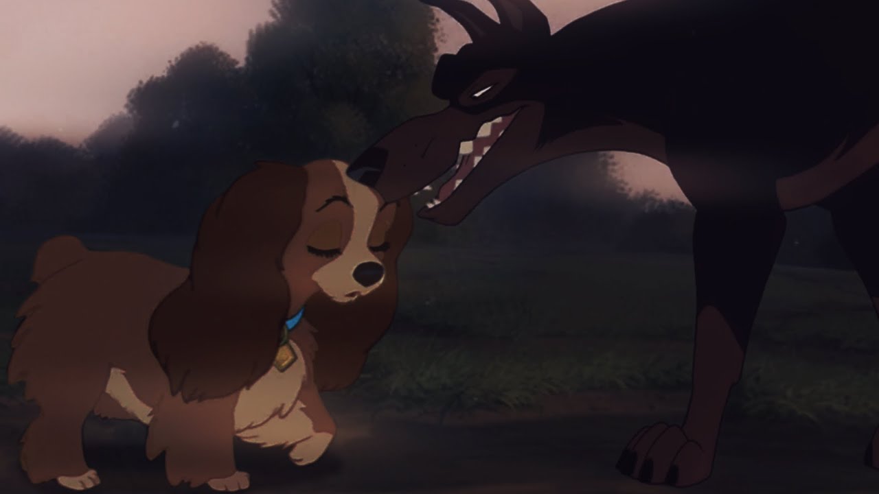 Crystal castles ~ Tramp X Lady X Buster - YouTube