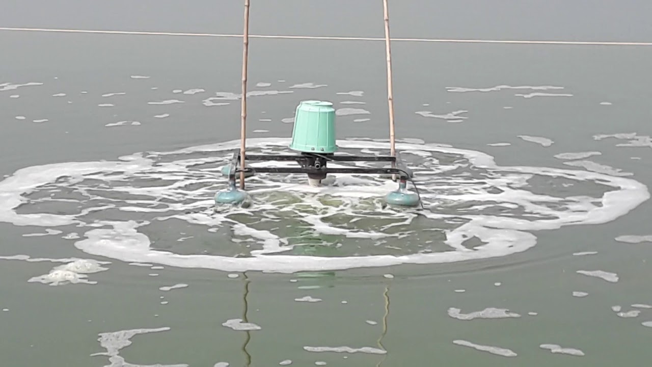 No1 aerator for pond aqua & fish culture satish 9848673335 - YouTube