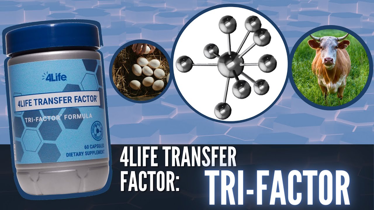 4Life Transfer Factor Tri - Factor Fórmula 🐄🥚 BENEFICIOS - YouTube