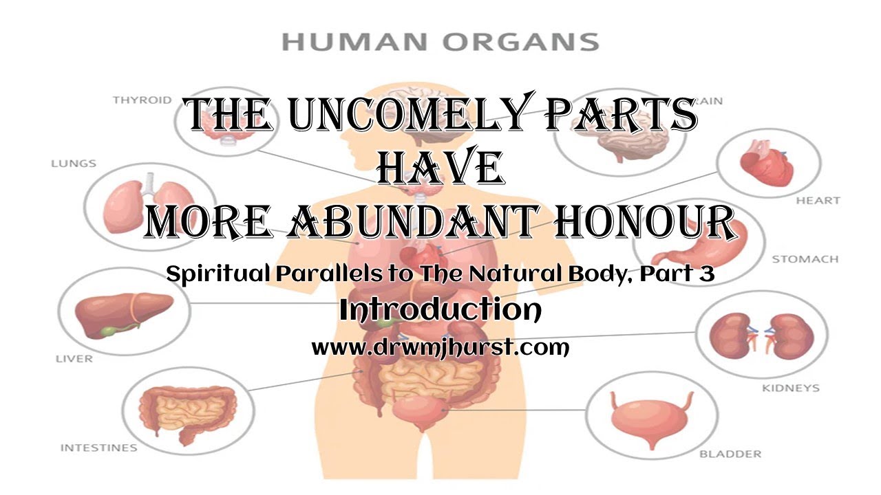 The Uncomely Parts Introduction - YouTube