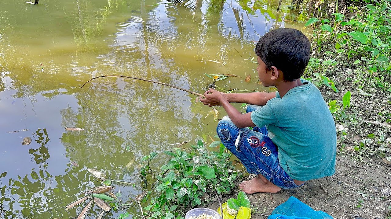 Amazing Hook Fishing Video 2023 Traditional Hook Fishing In Village amazing-hook-fishing-video-2023-traditional-hook-fishing-in-village