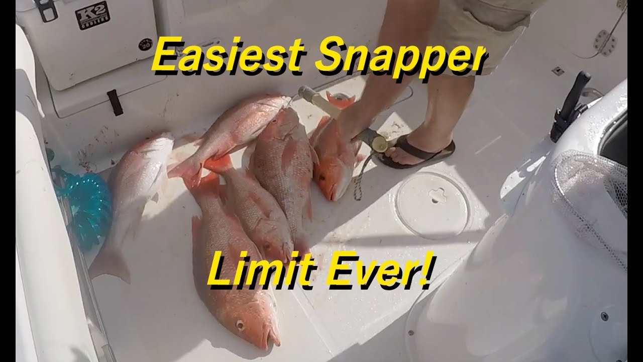 How Fast Can We Catch a Limit of Snapper?! - YouTube