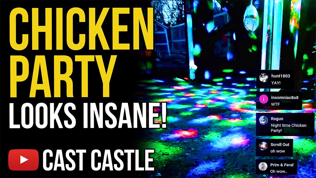Chicken Party Looks Insane! - YouTube
