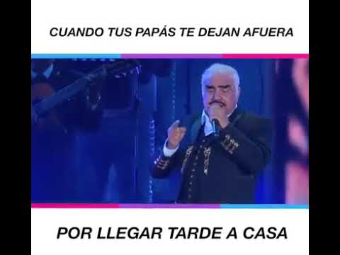 Vicente Fernández - El Rey (Meme) - YouTube