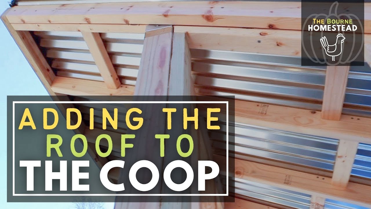 CHICKEN COOP ROOF | Building a Chicken Coop - YouTube