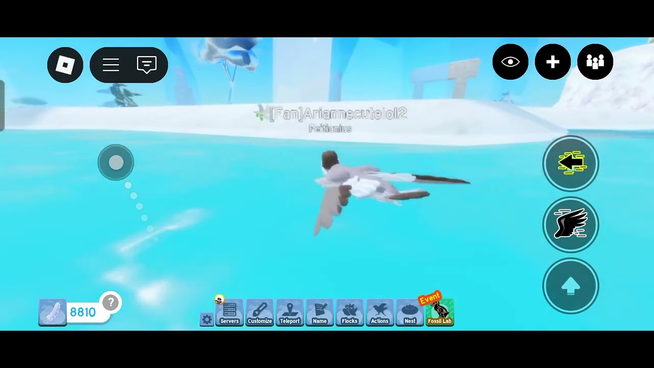 Showcase the new extinct bird (Feitianius) - YouTube