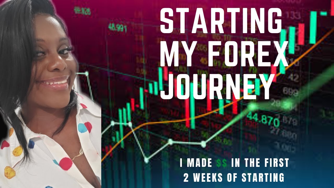 How I Learned To Trade Forex | My Forex Journey | Lavish Life Academy ...
