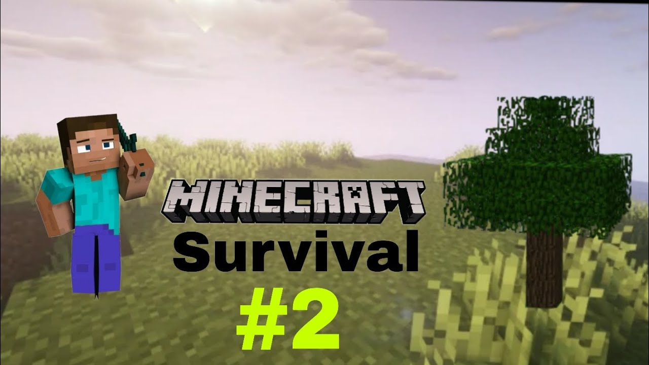 Minecraft java survival part 2 End - YouTube