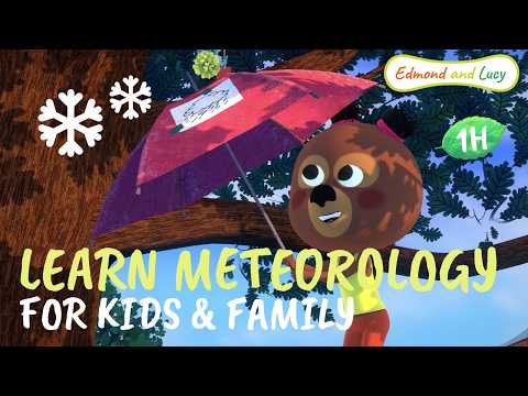 How Does the Weather Work? 🌦️ Rain, Snow & Forest Ecosystems | Educational Cartoon