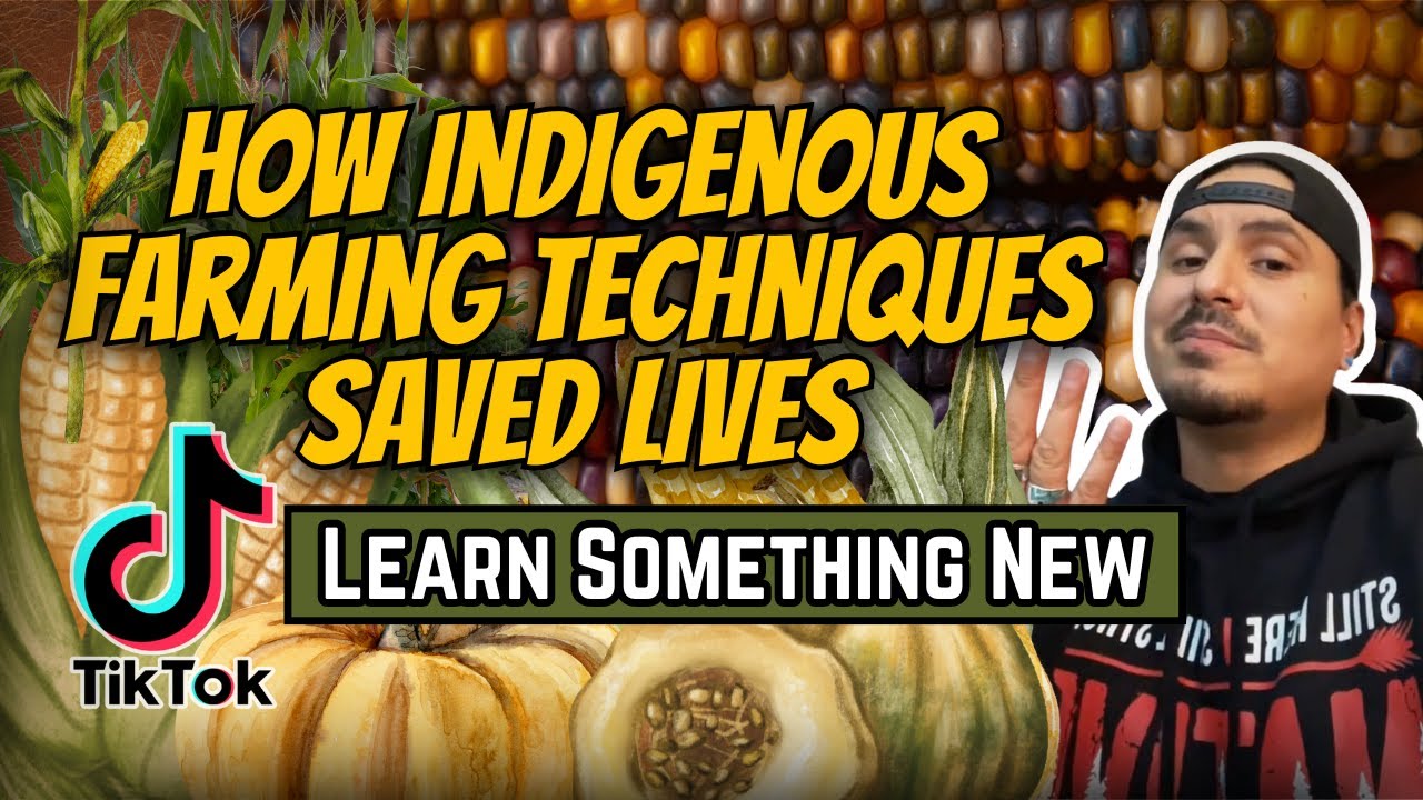 How Indigenous Farming Techniques Saved Lives (The 3 Sisters) | Learn ...