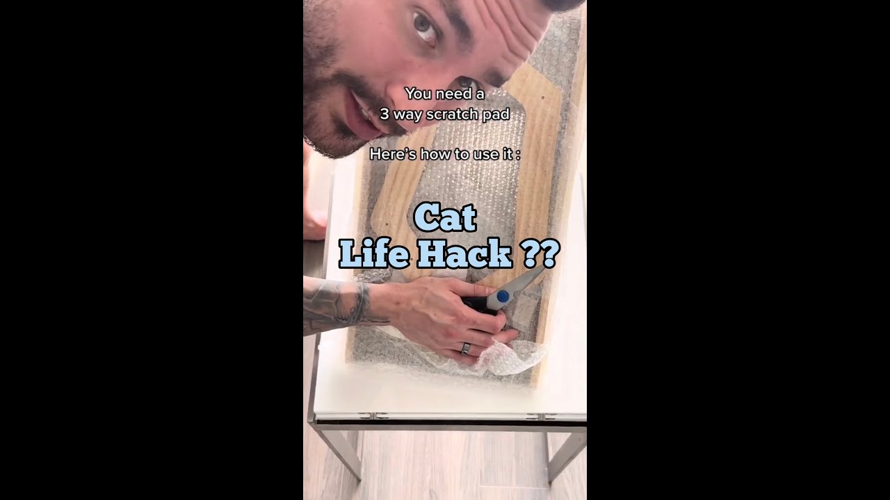 Cat Life Hack? Check out this 3 Way Scratch, Nap, & Play Pad! - YouTube