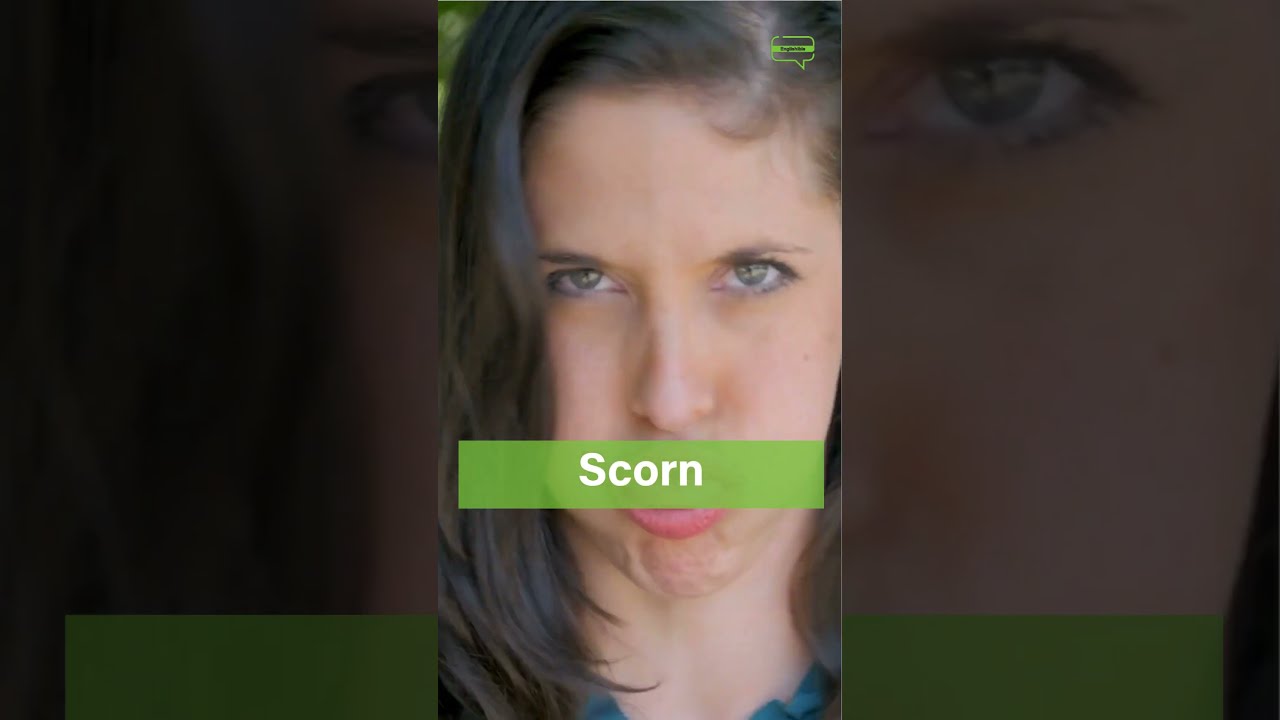 Scorn Meaning English Vocabulary Word shorts YouTube Scorn Meaning English Vocabulary Word shorts YouTube