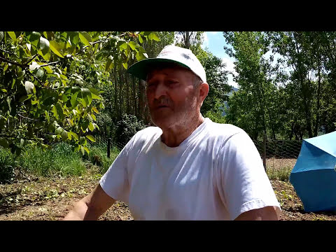 Zekai Amca dan hayat hikayeleri