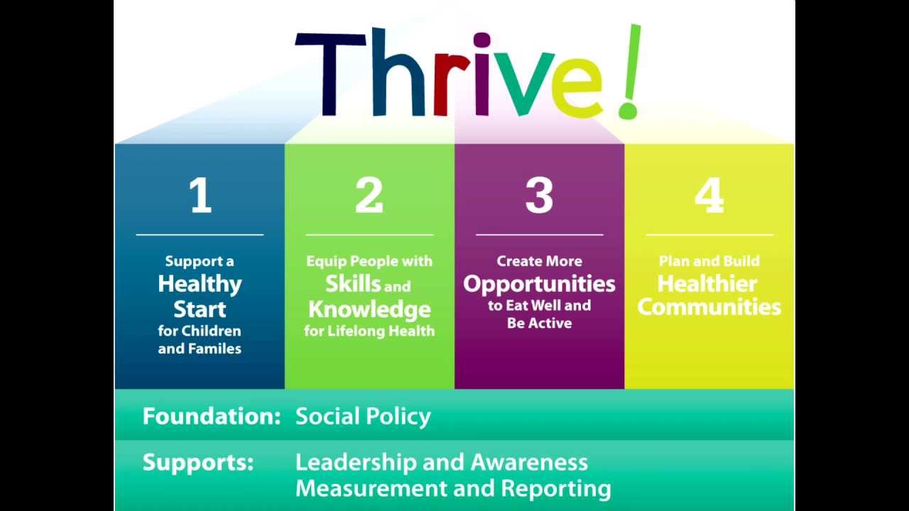 Dr. Strang discusses Nova Scotia's Thrive! strategy - YouTube