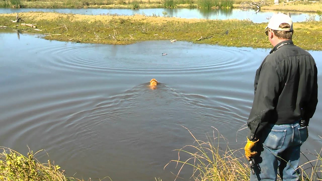 Red - Water mark - October 2015 - YouTube