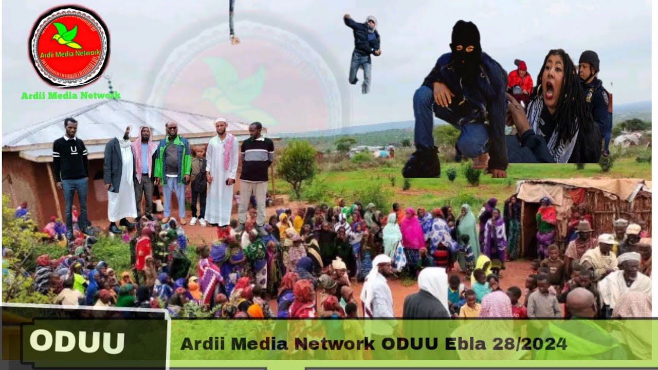 Ardii Media Network, ODUU Ebla 28/2024 - YouTube