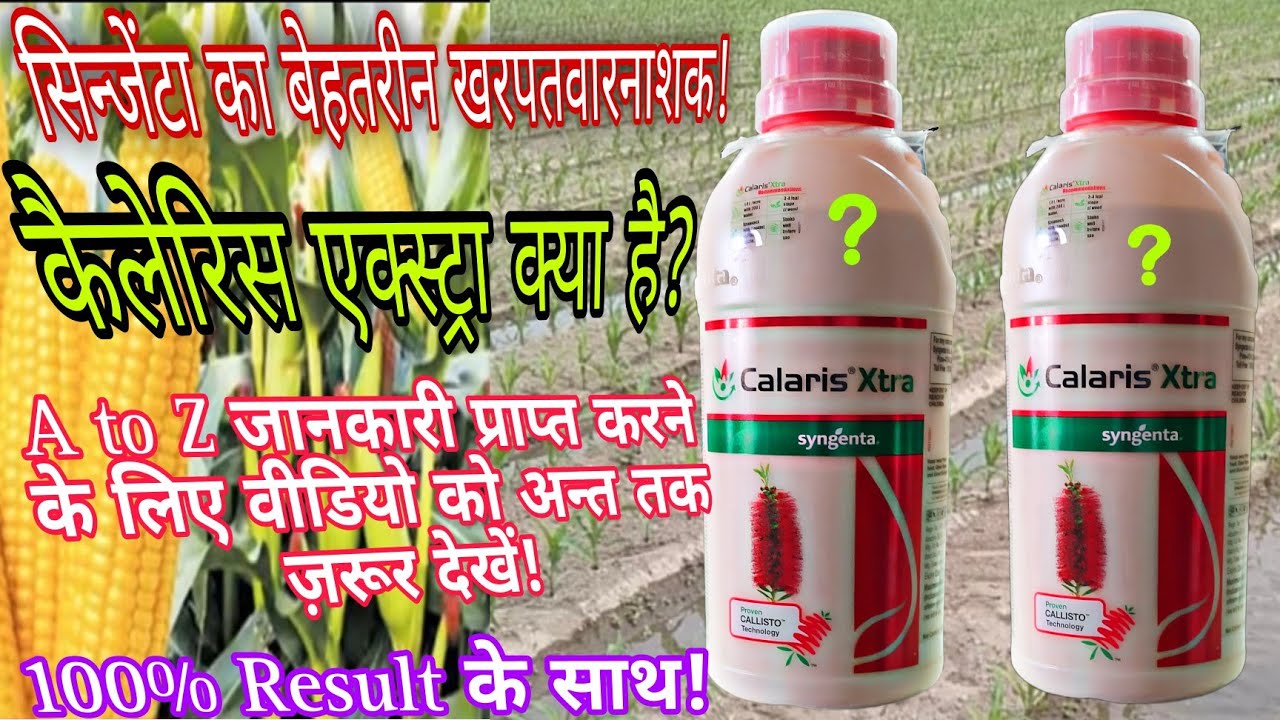 Syngenta Calaris Xtra | Benefits | Mode of Action | Proven Calisto ...