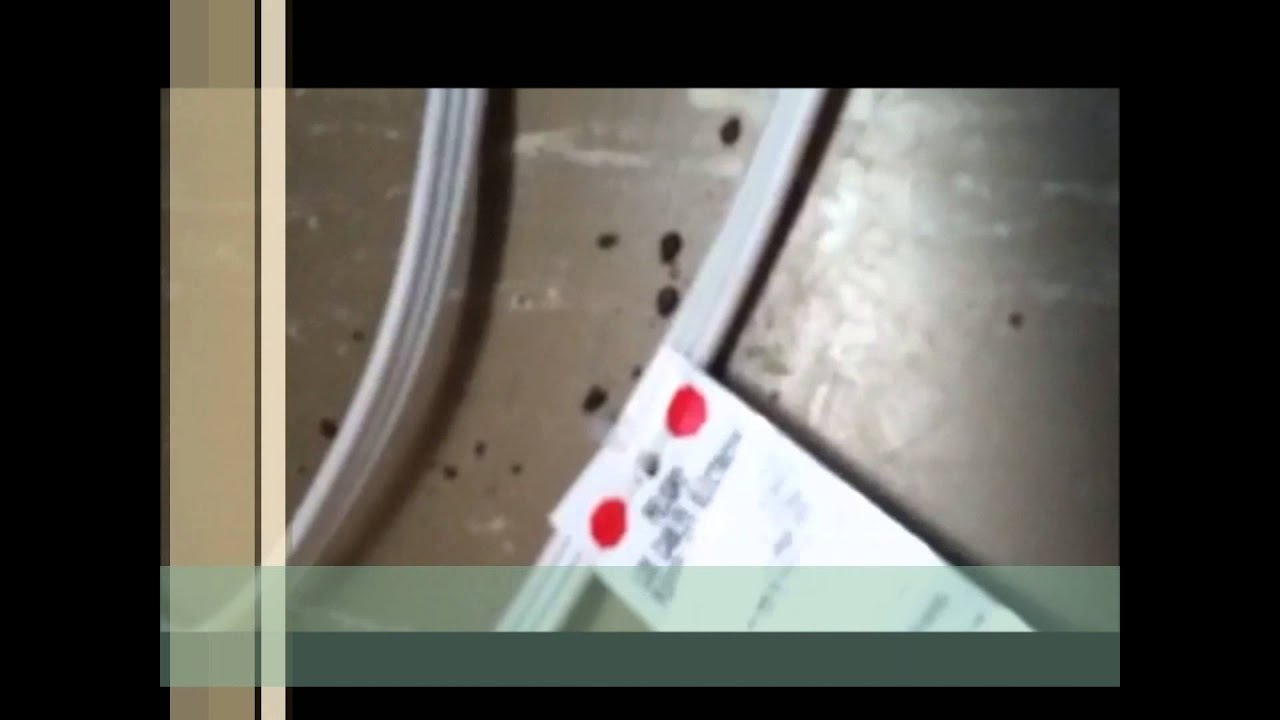 Bed Bugs Attack - YouTube