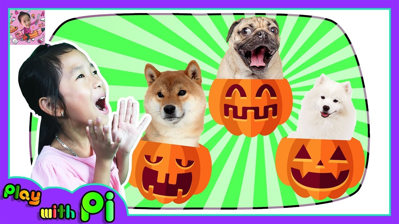 Dogs Names and Sounds in English Learn Animals Video for Kids - YouTube