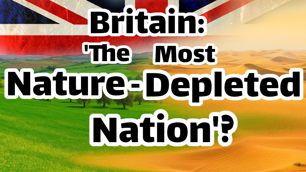 Is the UK a world leader in nature decline? - YouTube