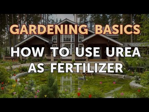 How to Use Urea as Fertilizer - YouTube