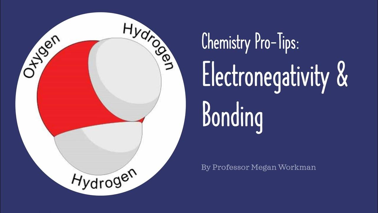Chemistry 4: Electronegativity & Bonding - YouTube