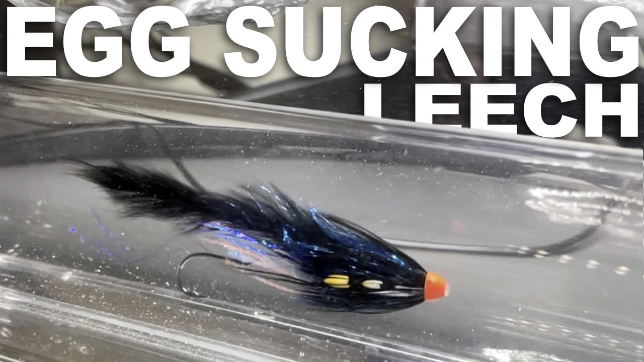 How to Tie an Egg Sucking Leech Steelhead Fly - YouTube
