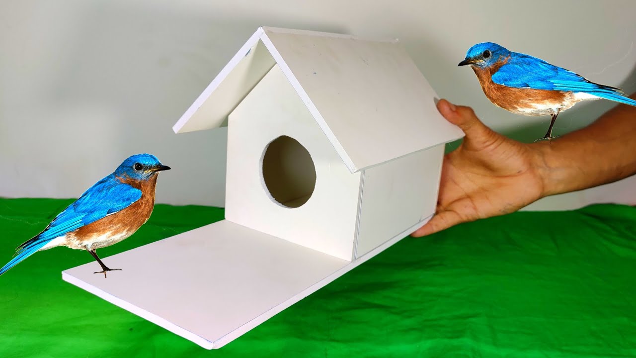 Easy Bird House diy - Build The Easiest And Simplest Bird House Ever ...
