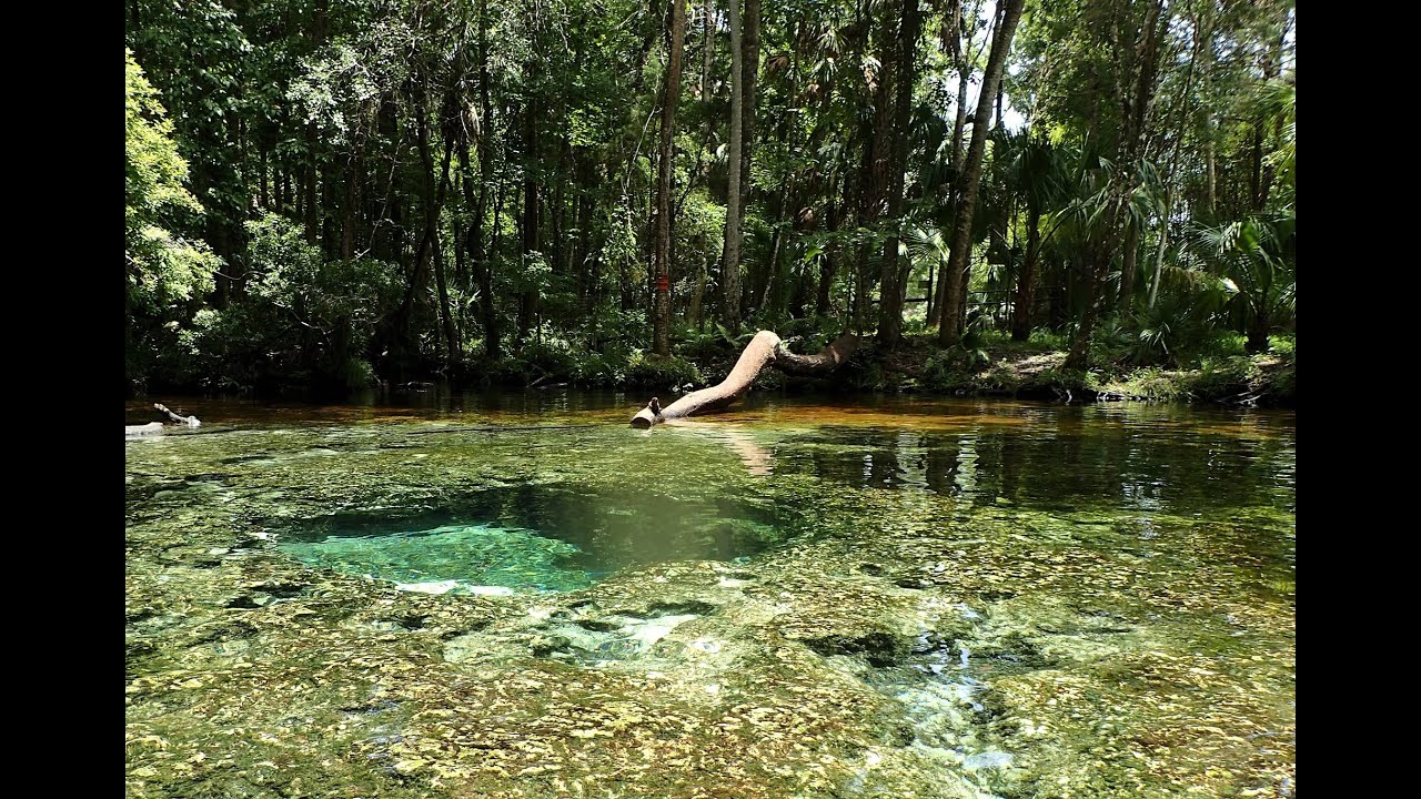 Kayaking out of Chassahowitzka River Campground and to Seven Sisters ...