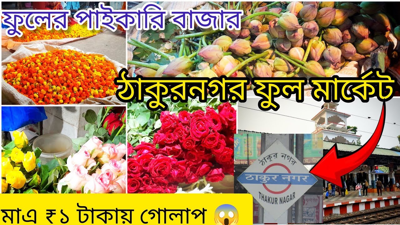 ঠাকুরনগর ফুল মার্কেট।। Wholesale Flower Market 💐in Thakurnagar # ...