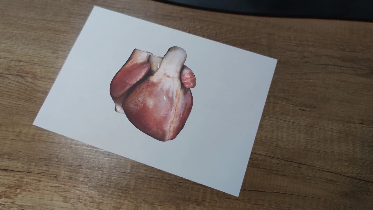 Beating Heart on the paper - YouTube
