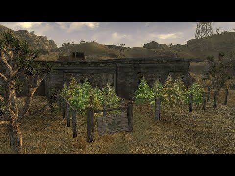 Smoke Mary Jane in Fallout: New Vegas - YouTube
