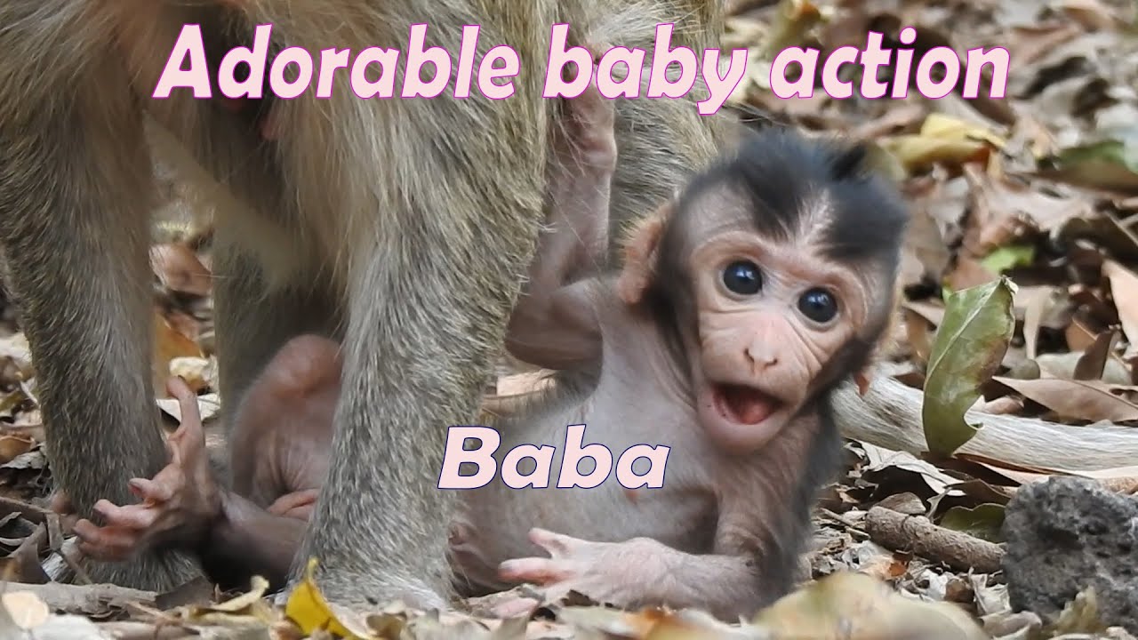 Cutest Baby boy for family 2020 | Baby Baba very active He like playing ...