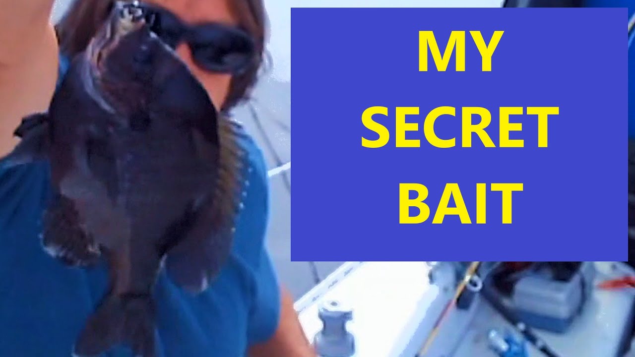 Fishing in Florida One and a half Fish caught check it out - YouTube