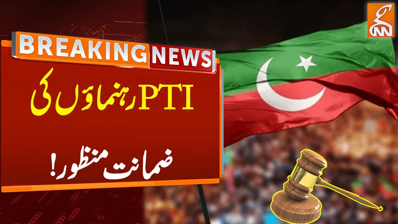 PTI Leader's Bail Granted!! | Breaking News | GNN