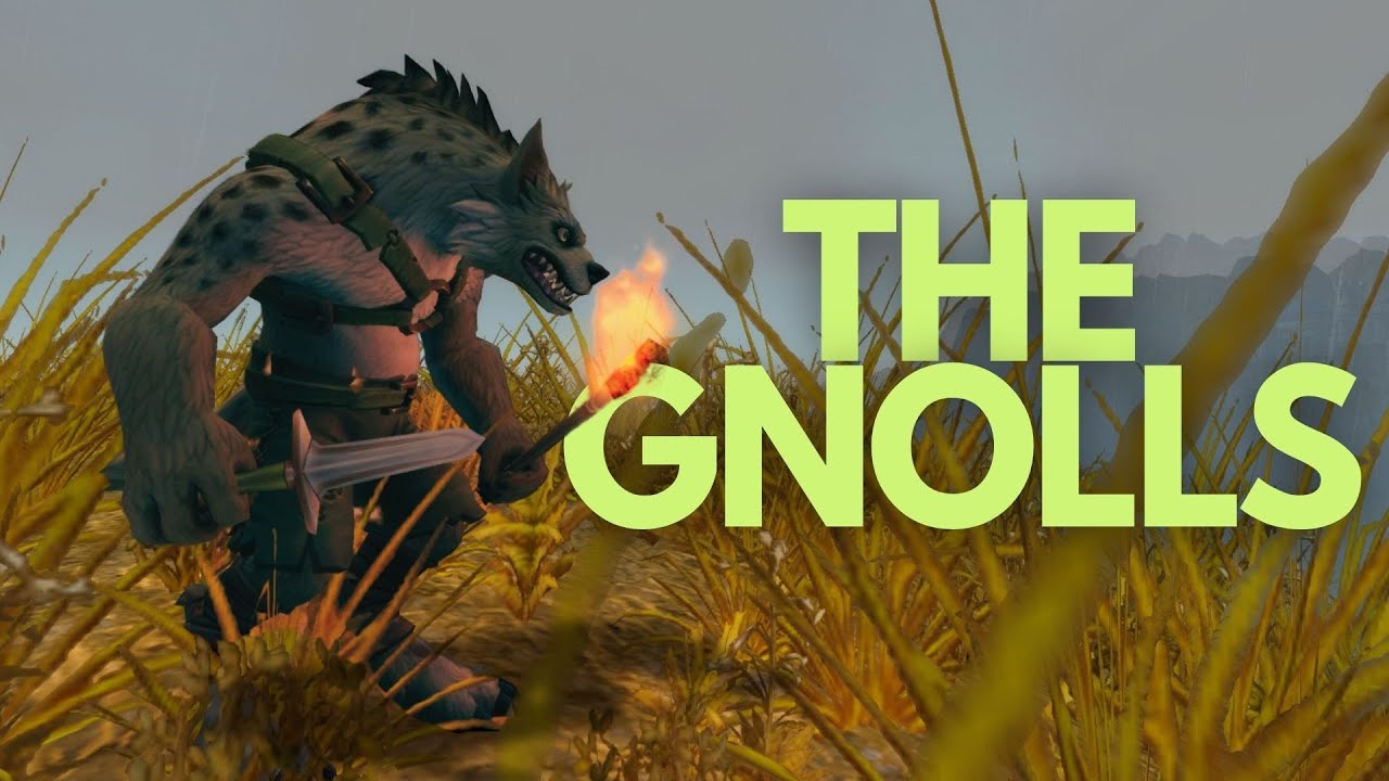 The Gnolls: A fascinating and complex culture - YouTube