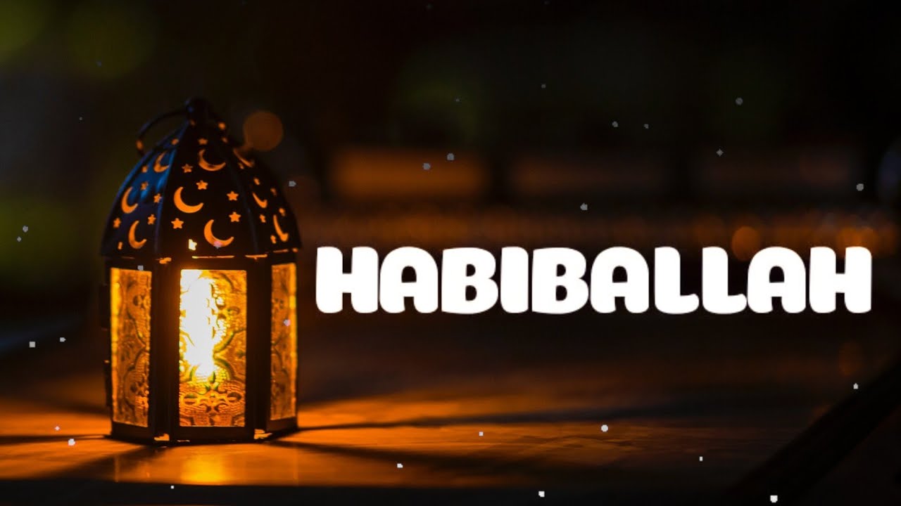 HABIBALLAH । হাবিবাল্লাহ্ নাতে রাসুল (সাঃ) শিল্পীঃ মোনায়েম বিল্লাহ্ ...