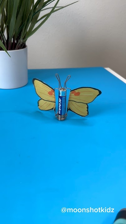 DIY “Yellow butterfly” homopolar motor. Easy and fun electronics ...