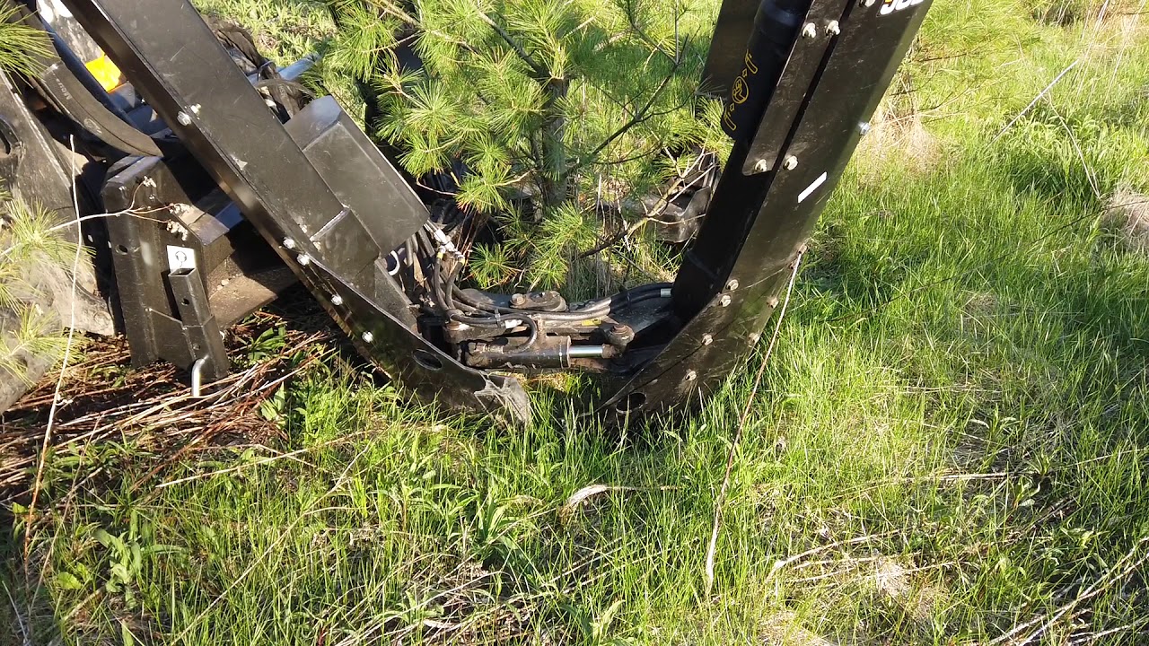 JCB TS 44 Tree Spade - YouTube