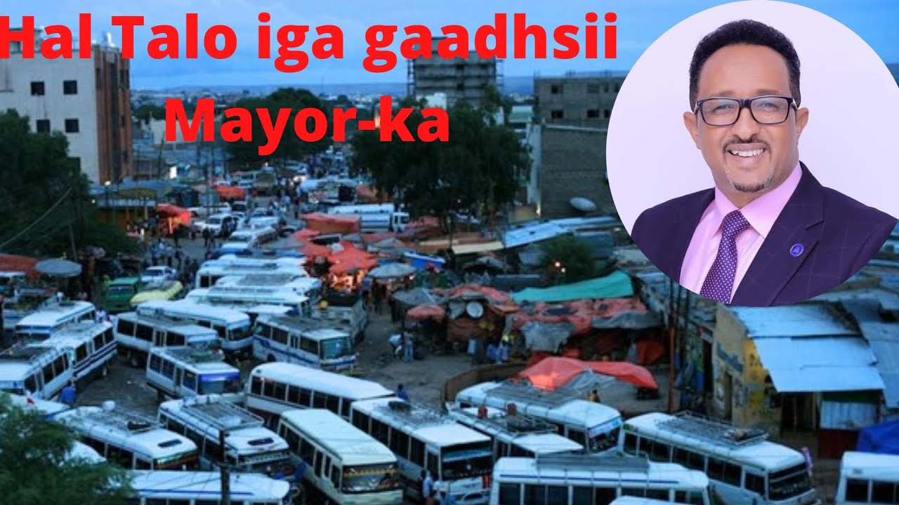 Hal Talo oo ku socota Mayor Mooge iyo Golihiisa - YouTube