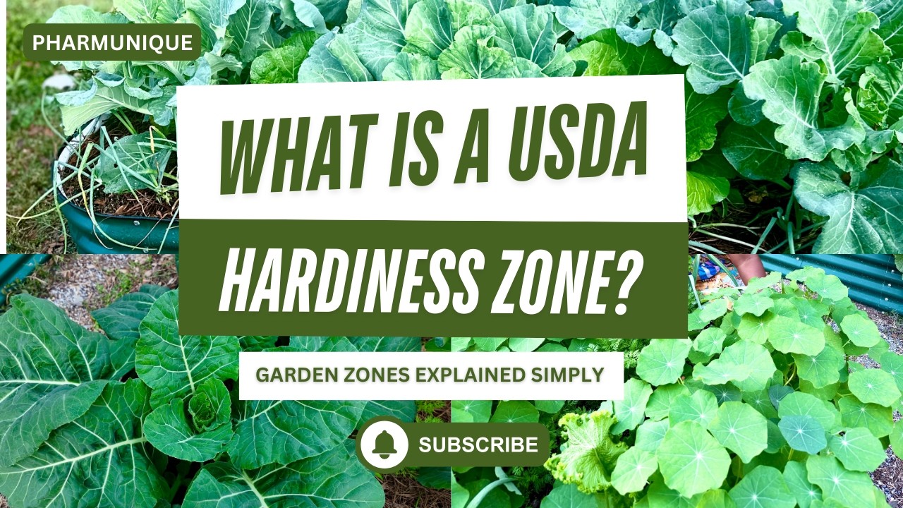 What Is a USDA Hardiness Zone? Garden Zones Explained Simply - YouTube