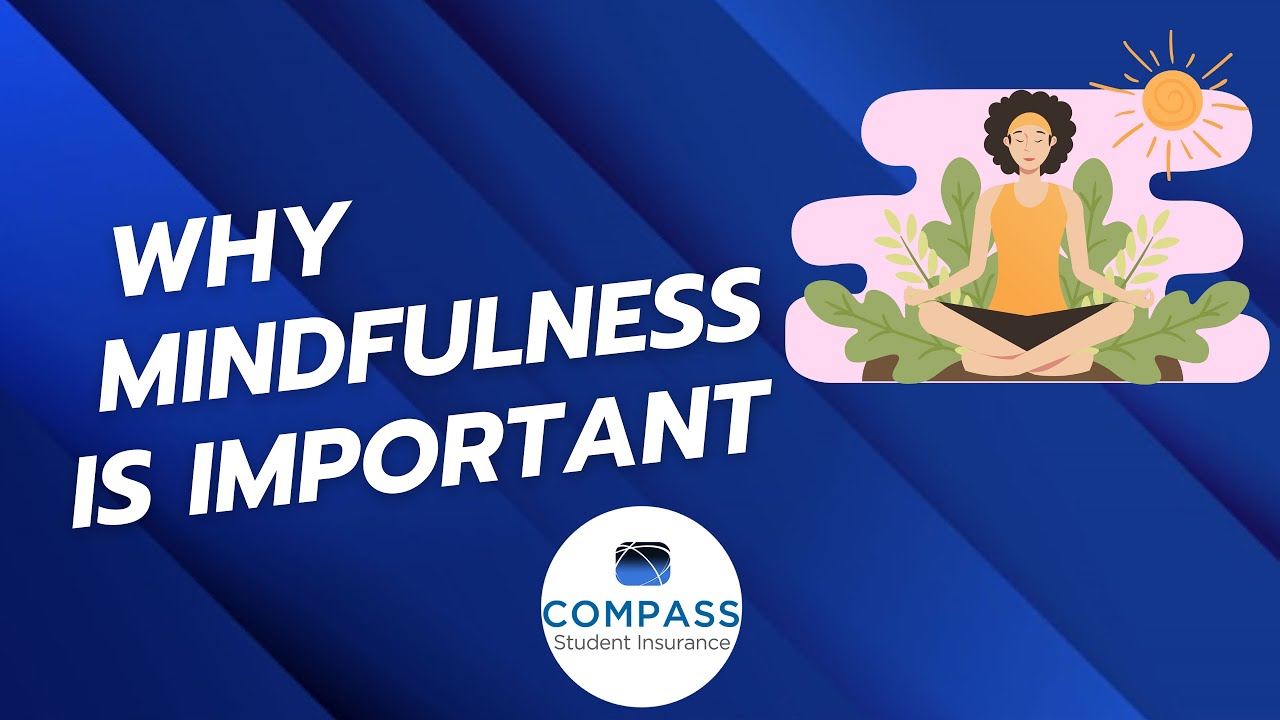 Why Mindfulness is Important - YouTube